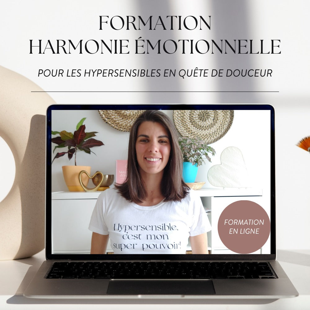 Formation Harmonie émotionnelle - Pour les hypersensibles en quête de ...